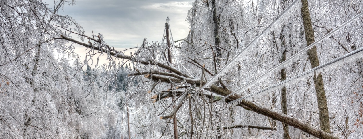 Texas - Severe Winter Storms - LSC Disaster Website : LSC Disaster Website